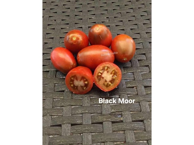 Paradajz Black Moor 10 semena