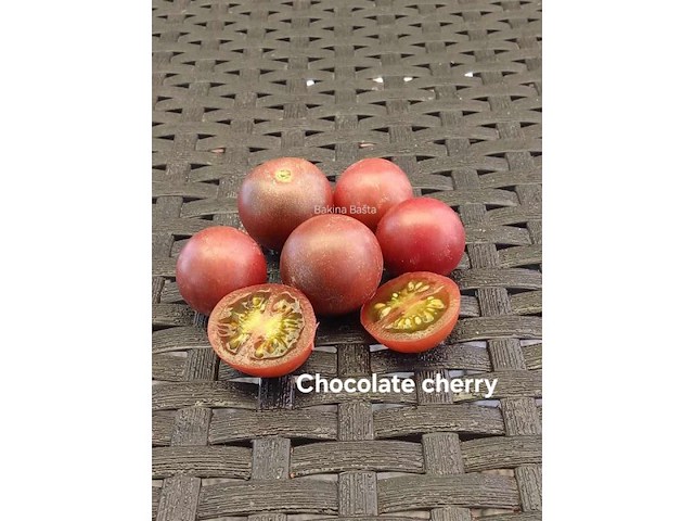 Paradajz Chocolate cherry 10 semena