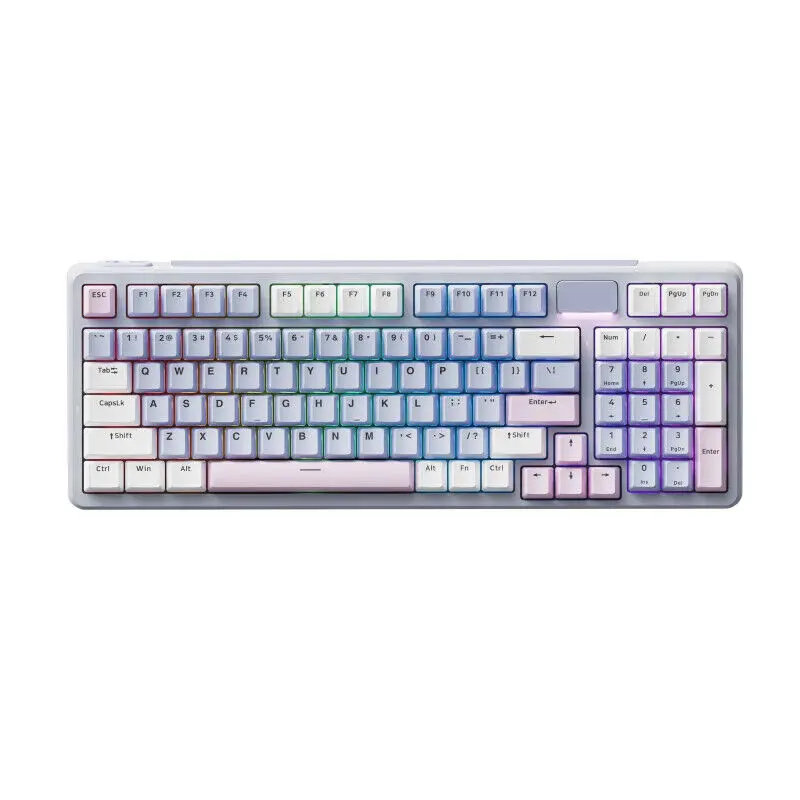 Rapoo Tastatura, Šarena