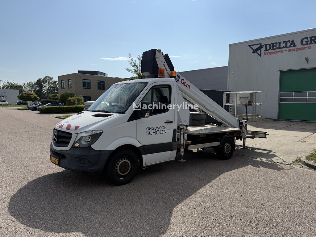 Ruthmann TB 270 auto dizalica s korpom