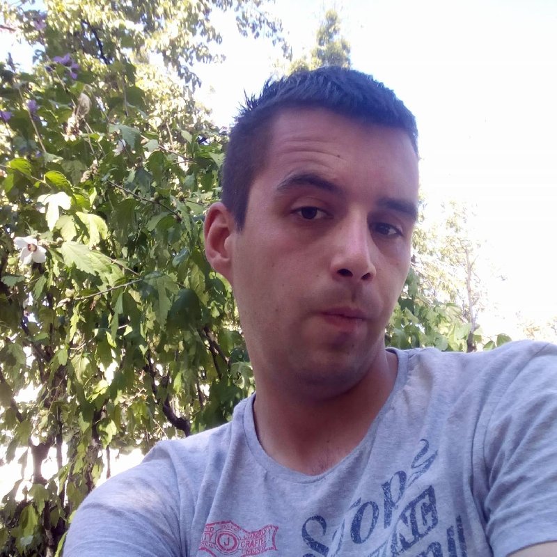 Decko iz novog sada za sve