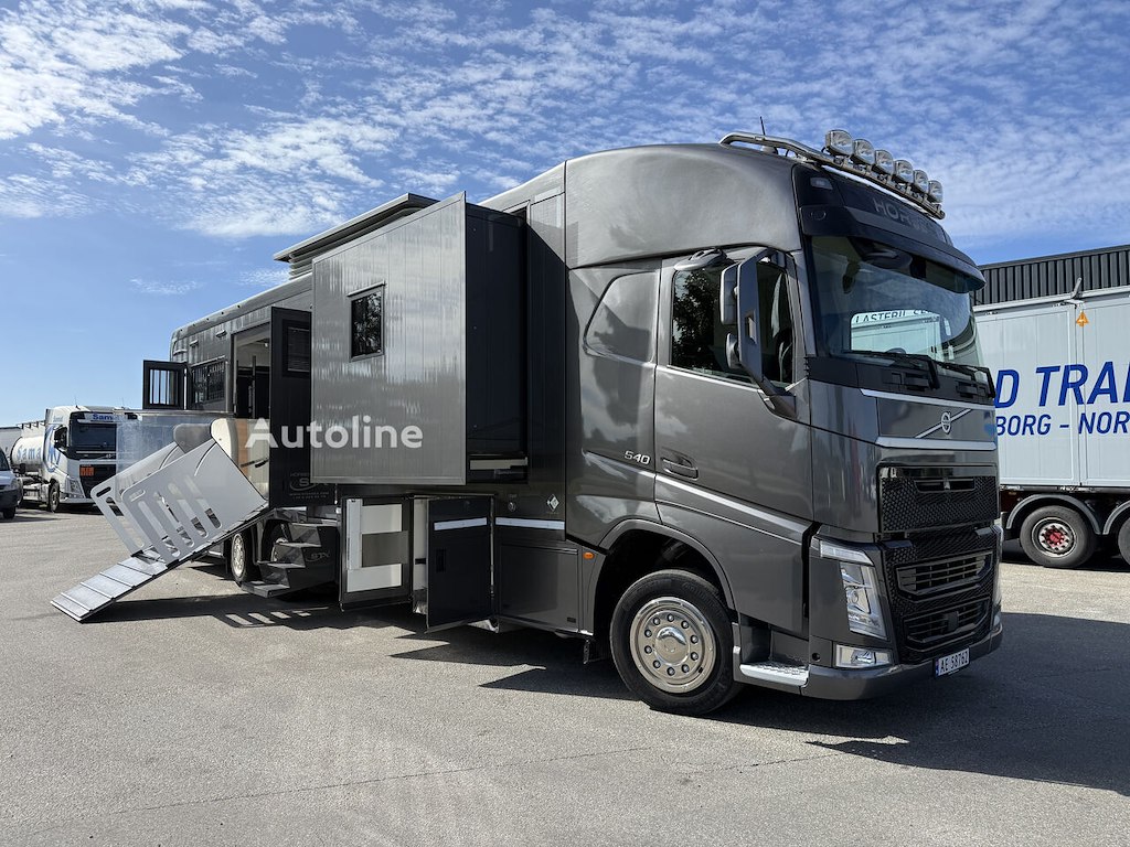 Volvo FH540 kamion za prevoz konja