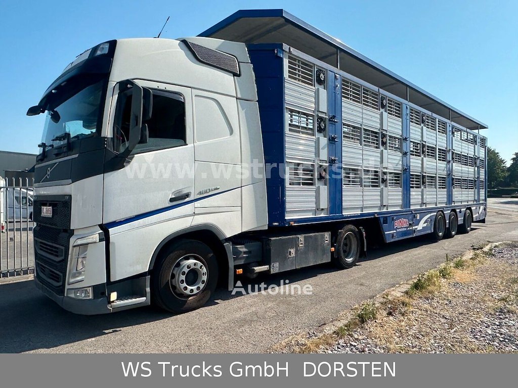 Volvo FH 460 tegljač + poluprikolica za prevoz stoke