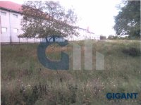 PALILULA Zage Malivuk-Krnjača ID: 837293041