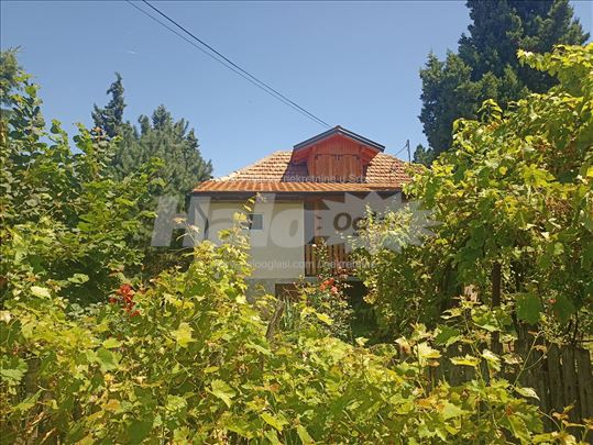 Kuća okružena borovima na 32 ara pod voćem