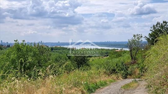 Palilula - Višnjica, Ždralova - 80.64a ID#25699