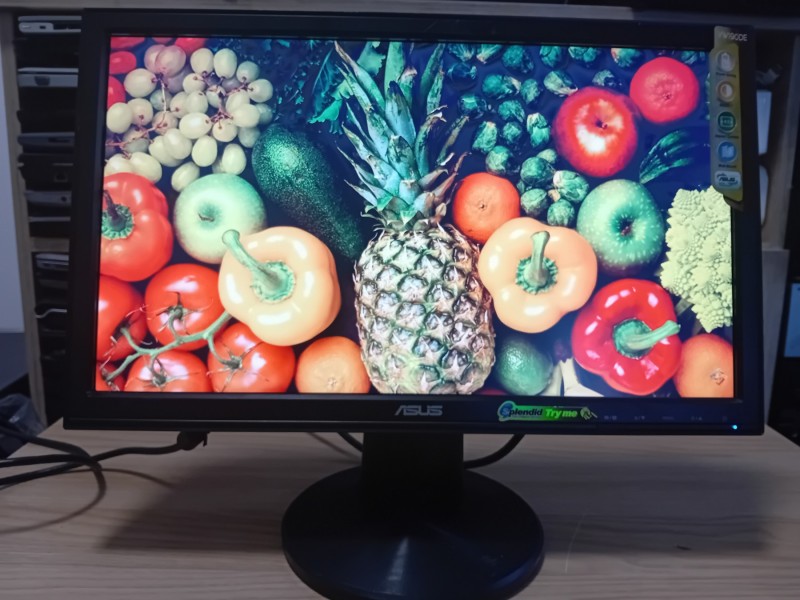 Asus VW190DE Monitor