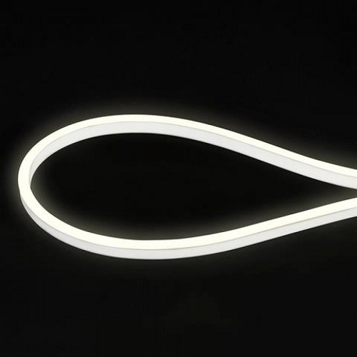 081-010-0003 100M 6400K 240V WTRPRF NEOLED SLIM