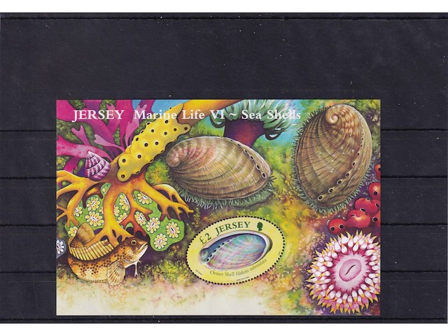 Jersey Fauna 2006