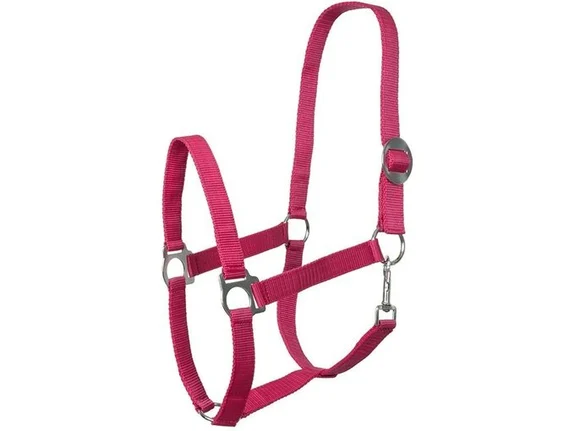 Horze Ular za konje full pink Basic