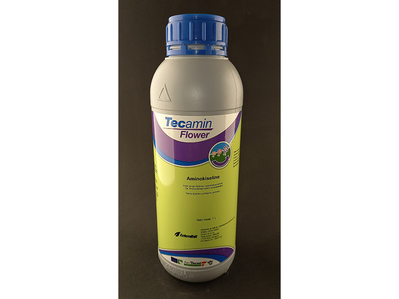 Tecamin Flower