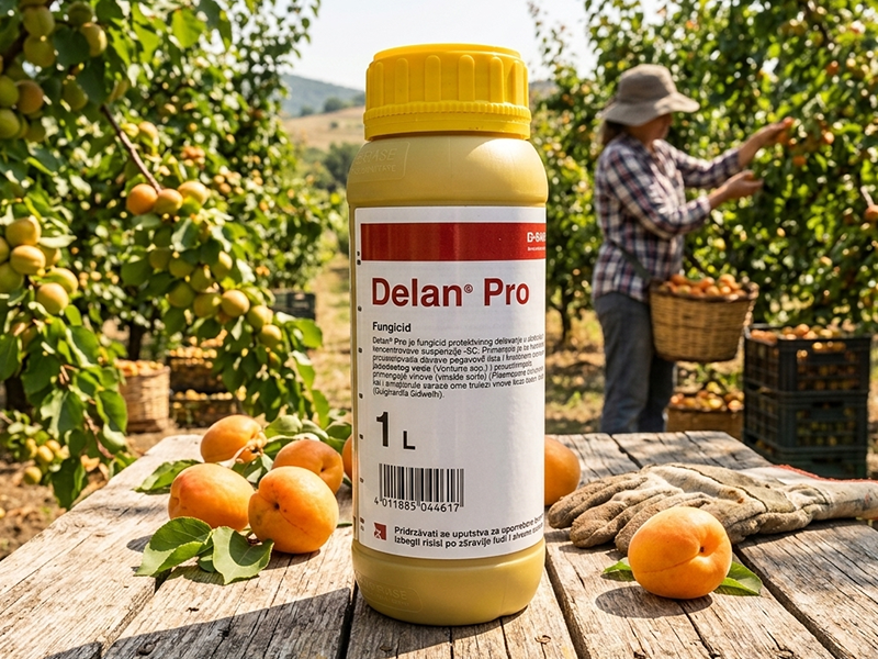 Delan pro