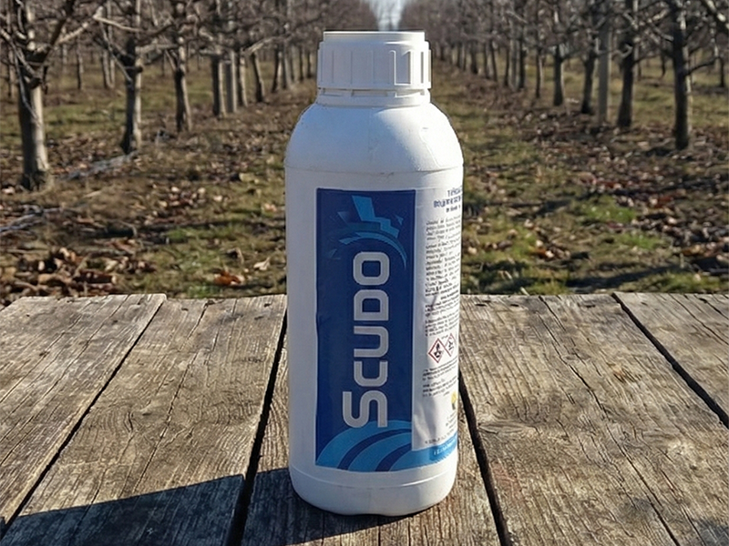 Scudo