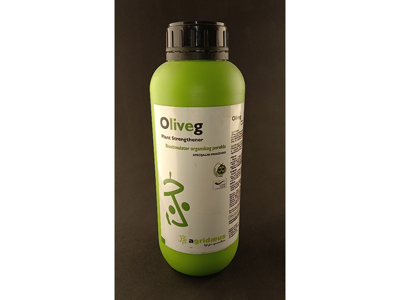 Oliveg