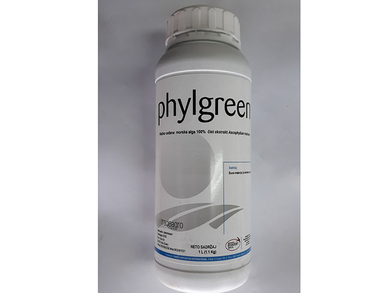 Phylgreen 1lit