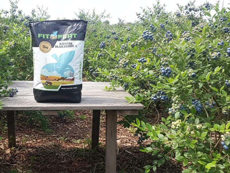 FitoFert BlueBerry I 20-5-10