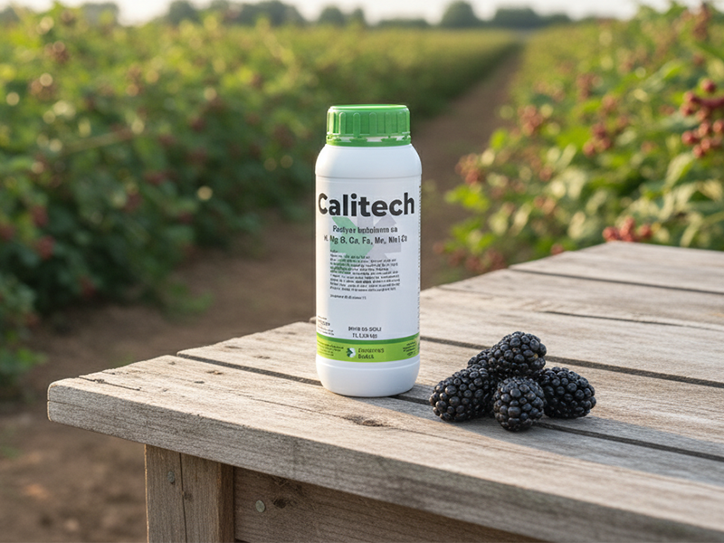 Calitech
