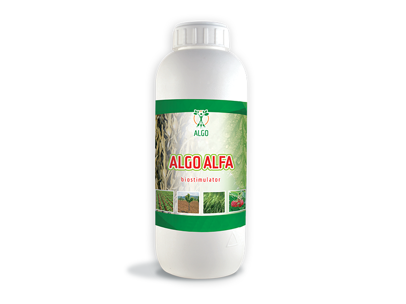 Algo alfa