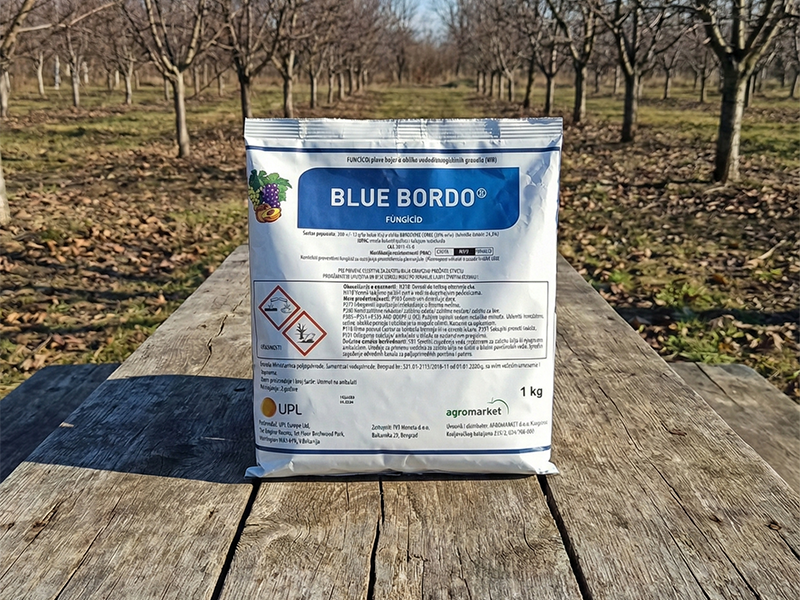 Blue Bordo