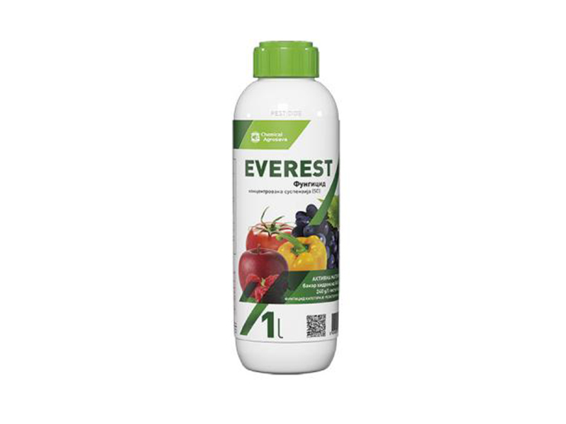 Everest