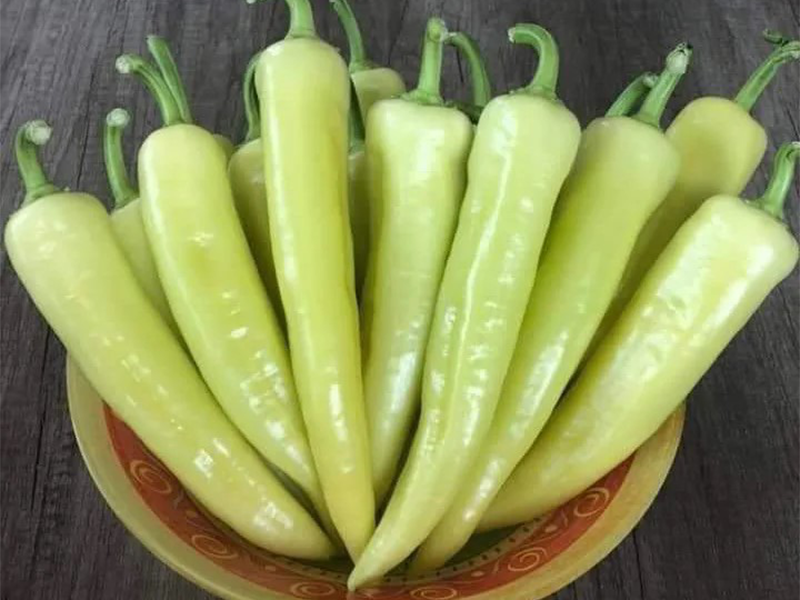 Paprika Bardhi F1