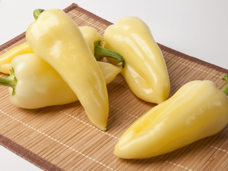 Paprika Celtic F1