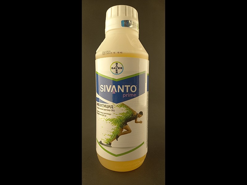 Sivanto Prime