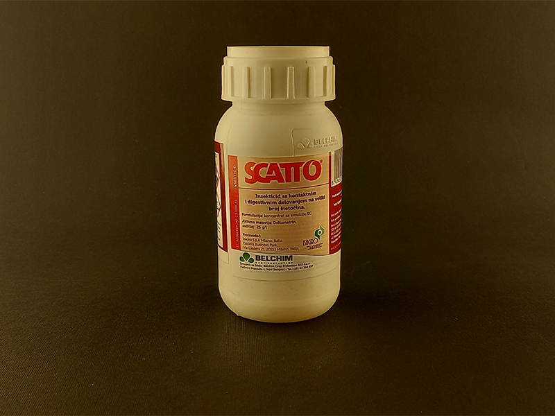 Scatto
