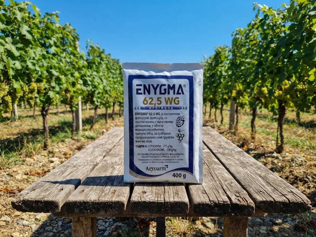 Enygma 62.5 WG