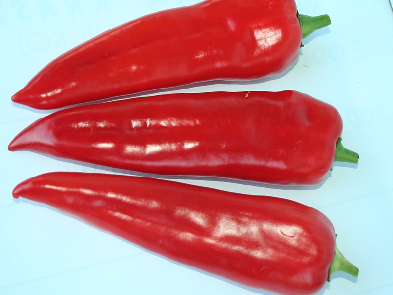 Paprika Mirtima F1 - kapija