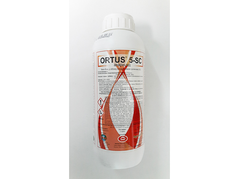 Ortus 5 SC
