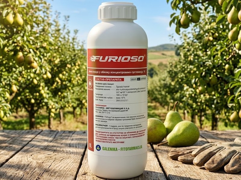 Furioso