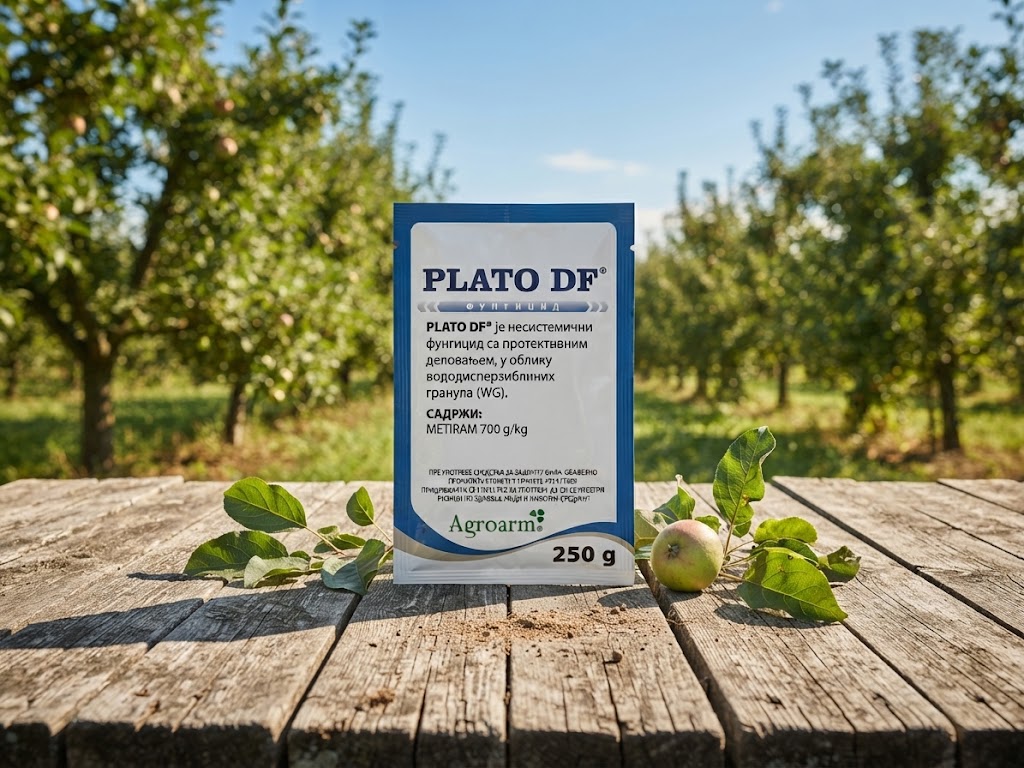 Plato DF