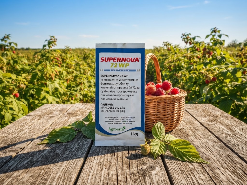 Supernova 72 WP