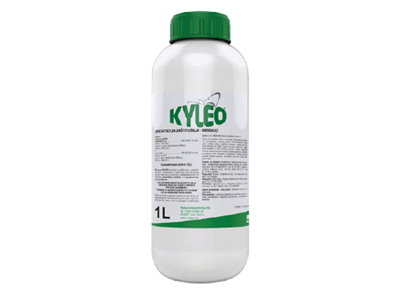 Kyleo