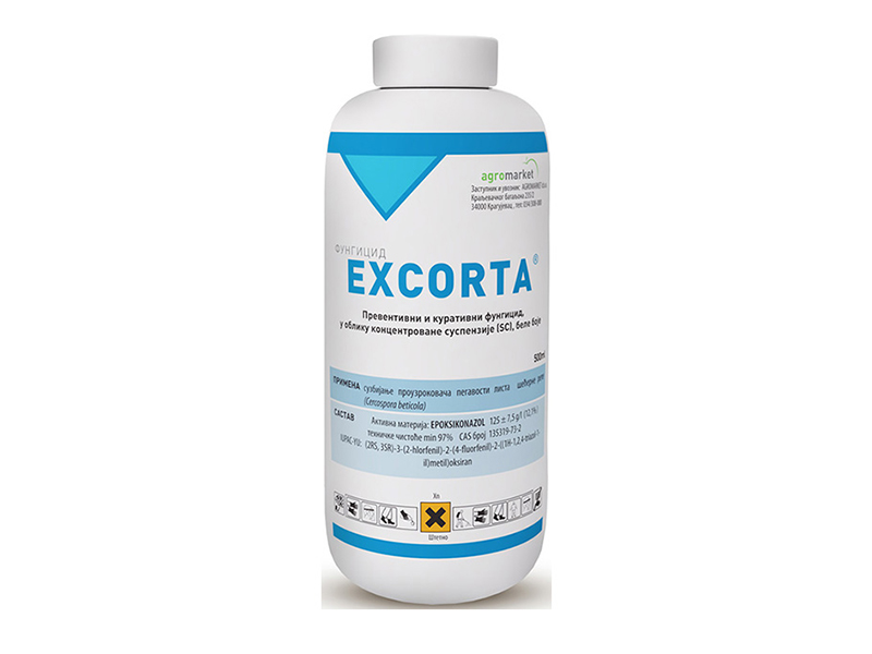 Excorta