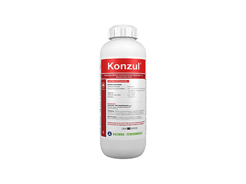 Konzul
