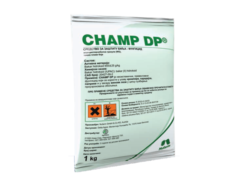 Champ DP