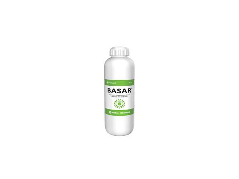 Basar
