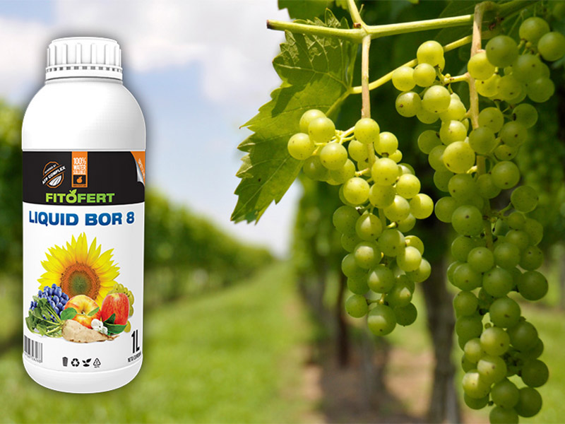 Fitofert liquid bor 8