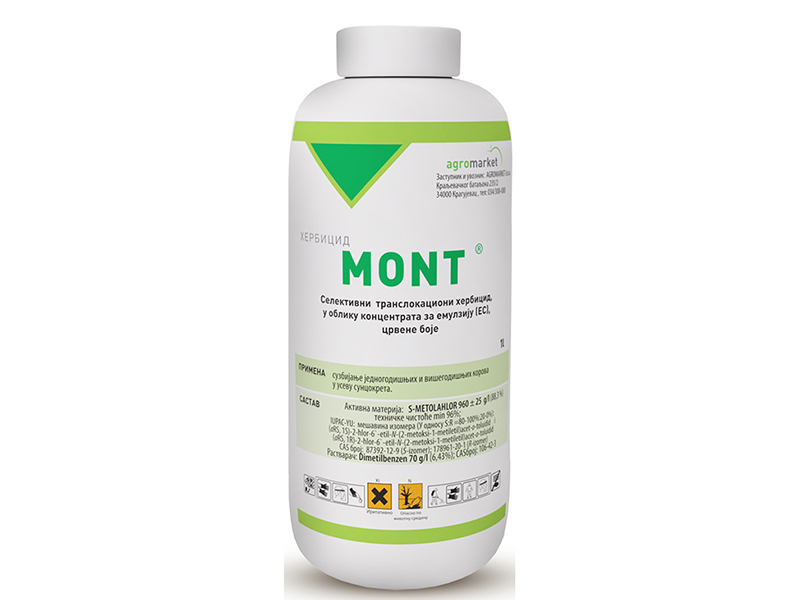 Mont