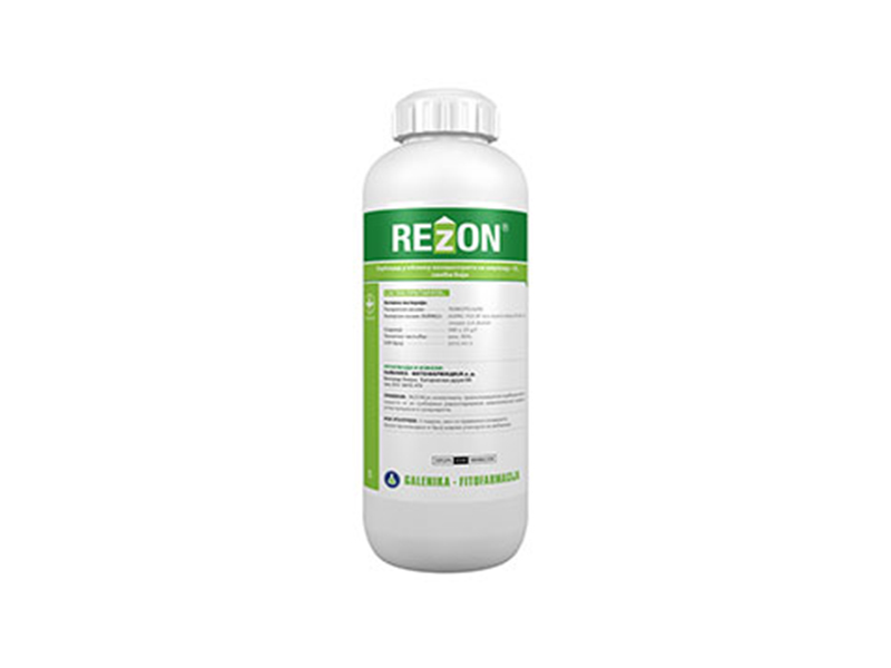 Rezon