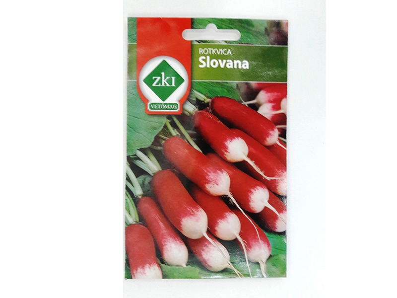 Kesica rotkvice Slovan zki