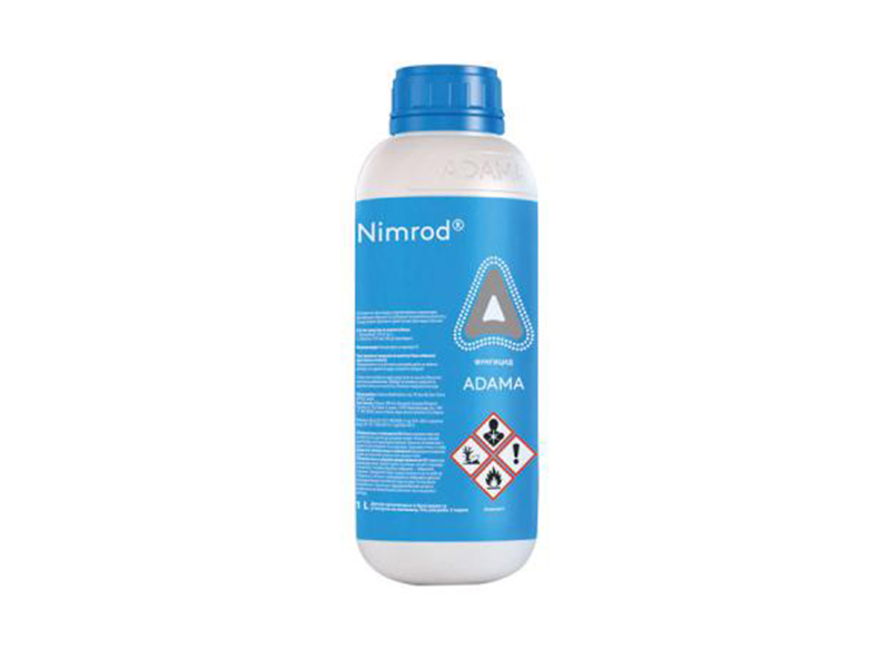 Nimrod