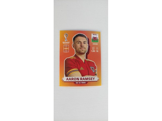 Panini FIFA 2022 Qatar WAL 13