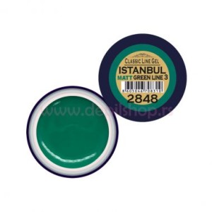 ENG Color gel CLG ISTANBUL-2848 5ml