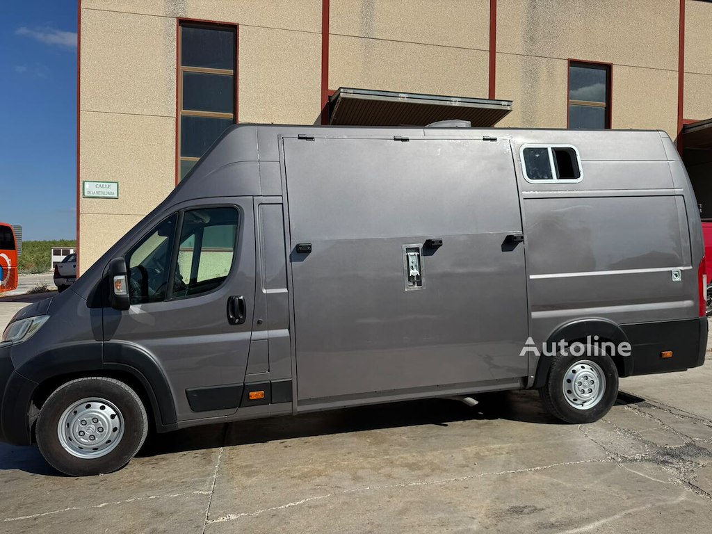 Citroen JUMPER vozilo za prevoz konja