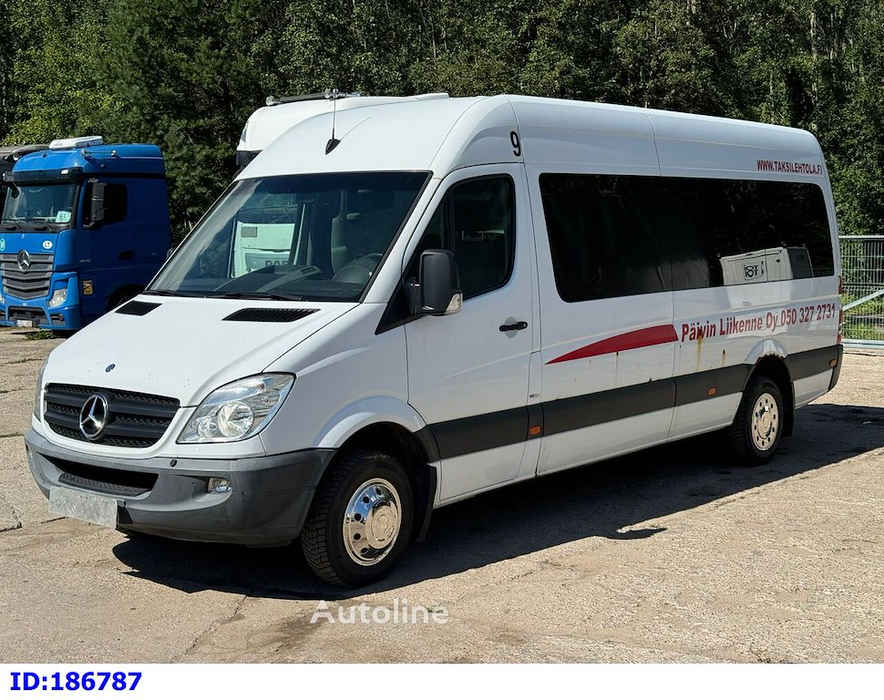 Mercedes-Benz Sprinter 516 turistički autobus