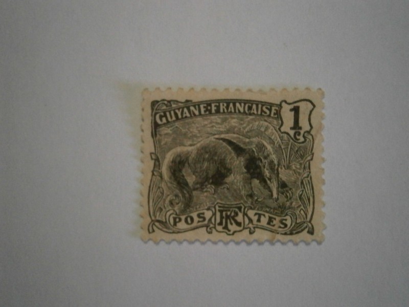 FRANCUSKA GVAJANA 1904.