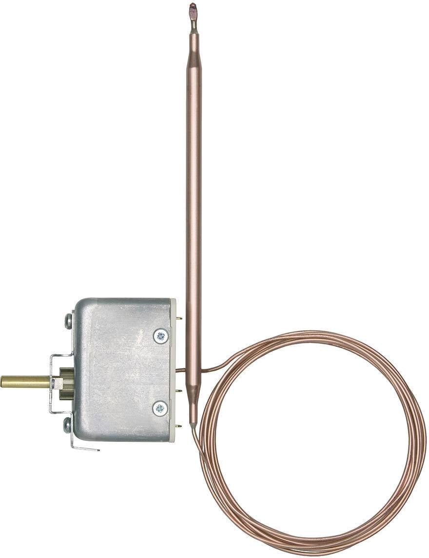 Jumo 60000219 temperaturni ograničivač